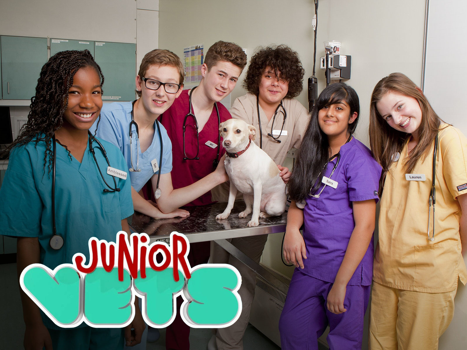 Prime Video: Junior Vets - Season 1