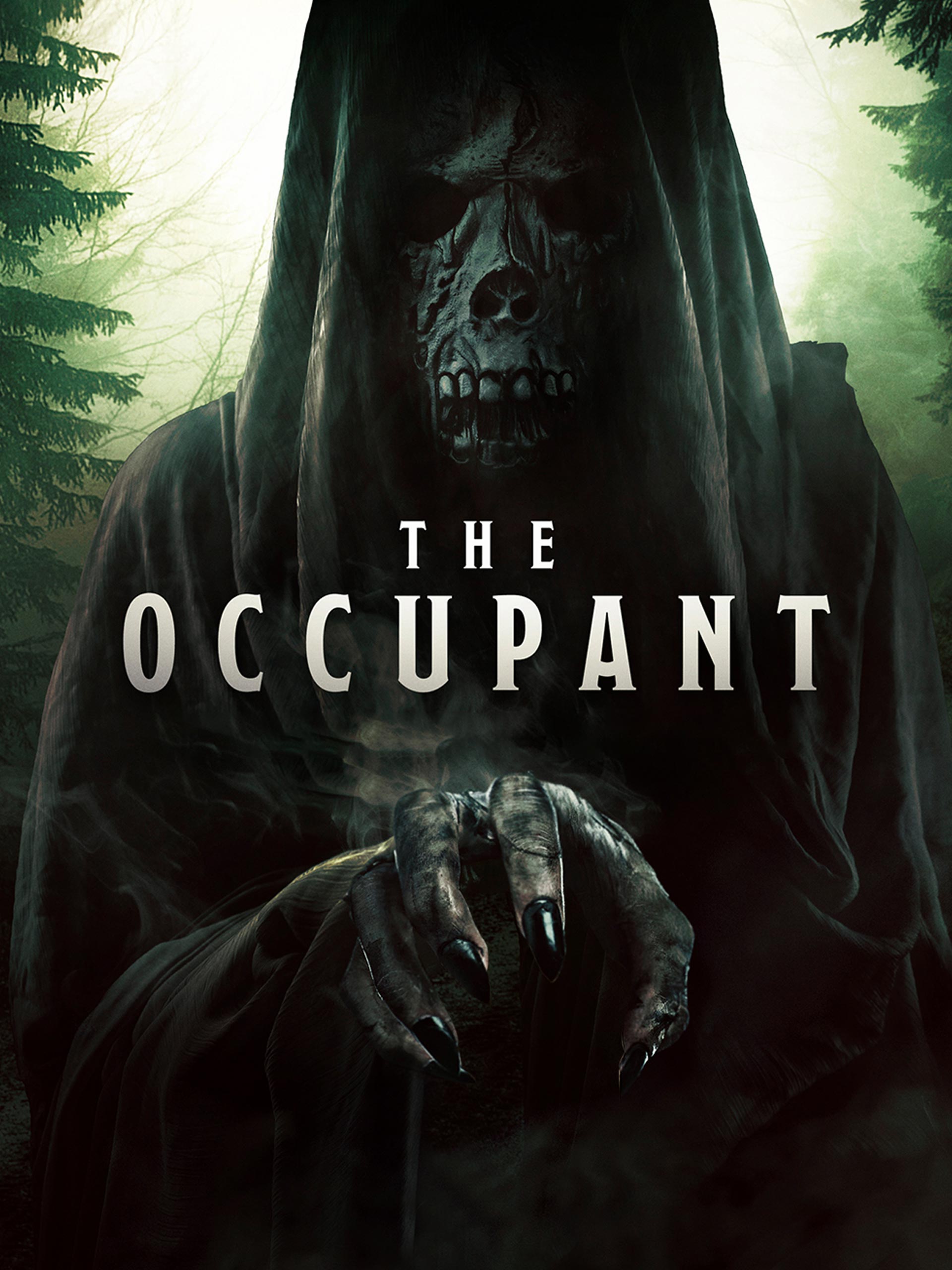 Prime Video: The Occupant