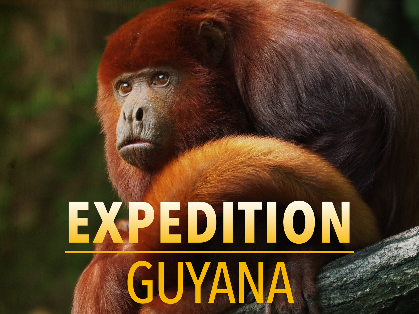 Prime Video: Expedition Guyana - Season 1