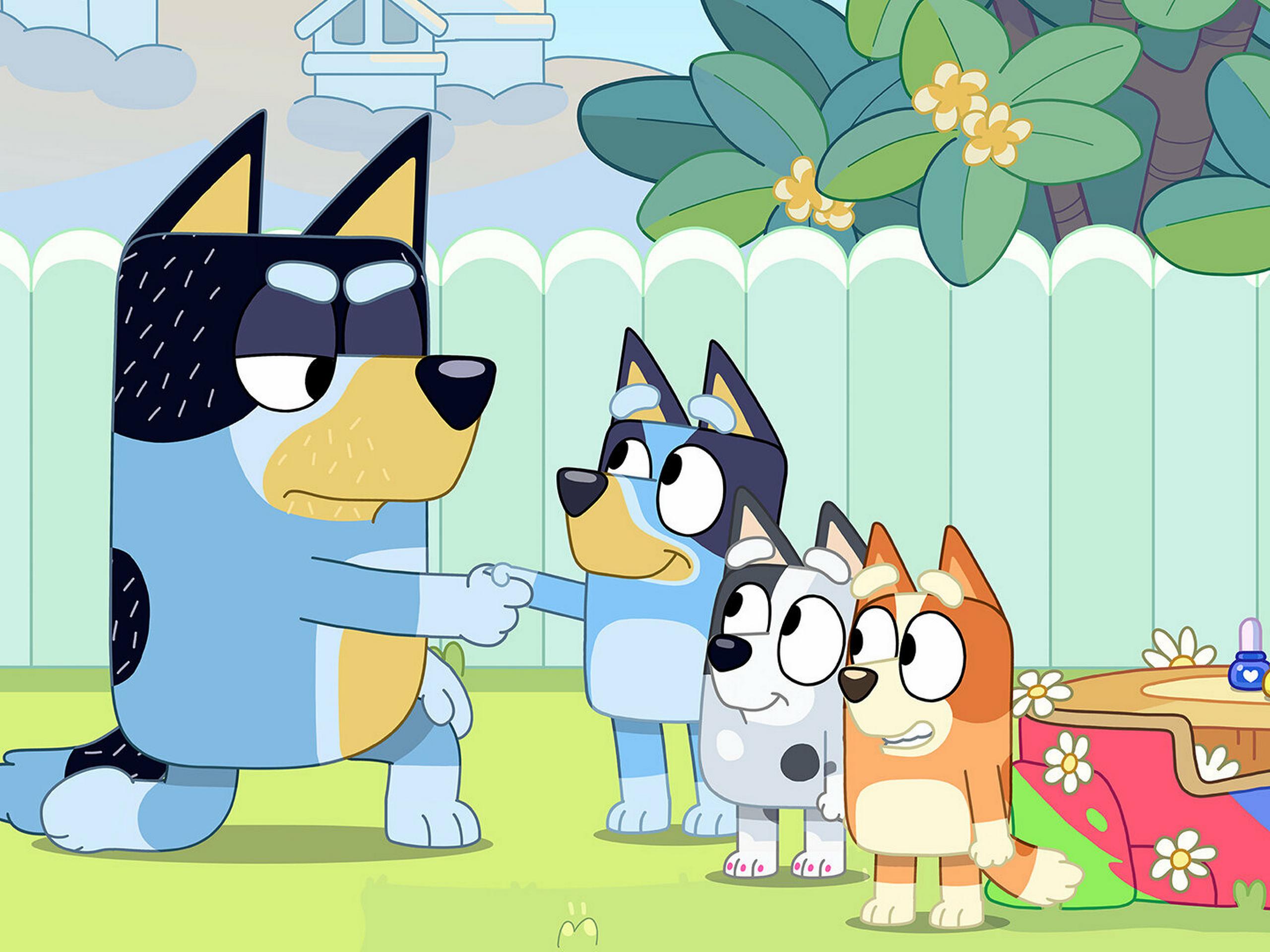 Prime Video: Bluey - Saison 2