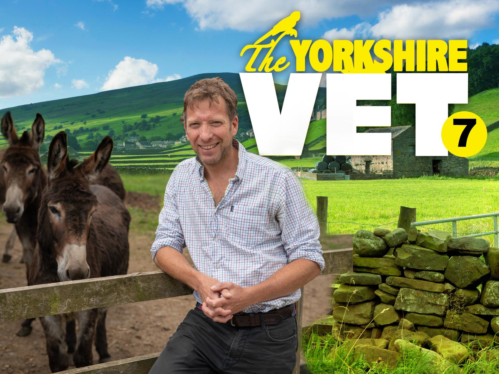 Prime Video: The Yorkshire Vet