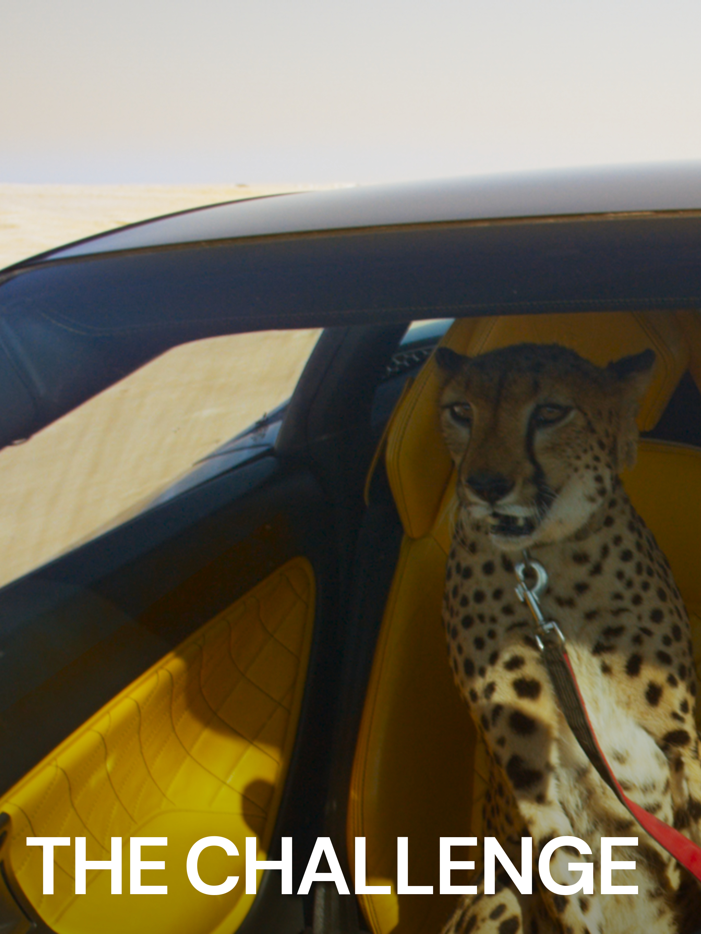 Prime Video: The Challenge