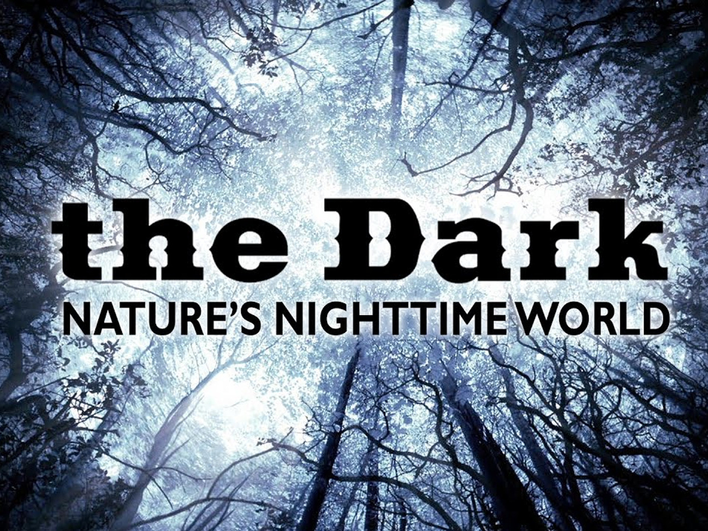 Prime Video: Dark Natures Nightime World - Season 1