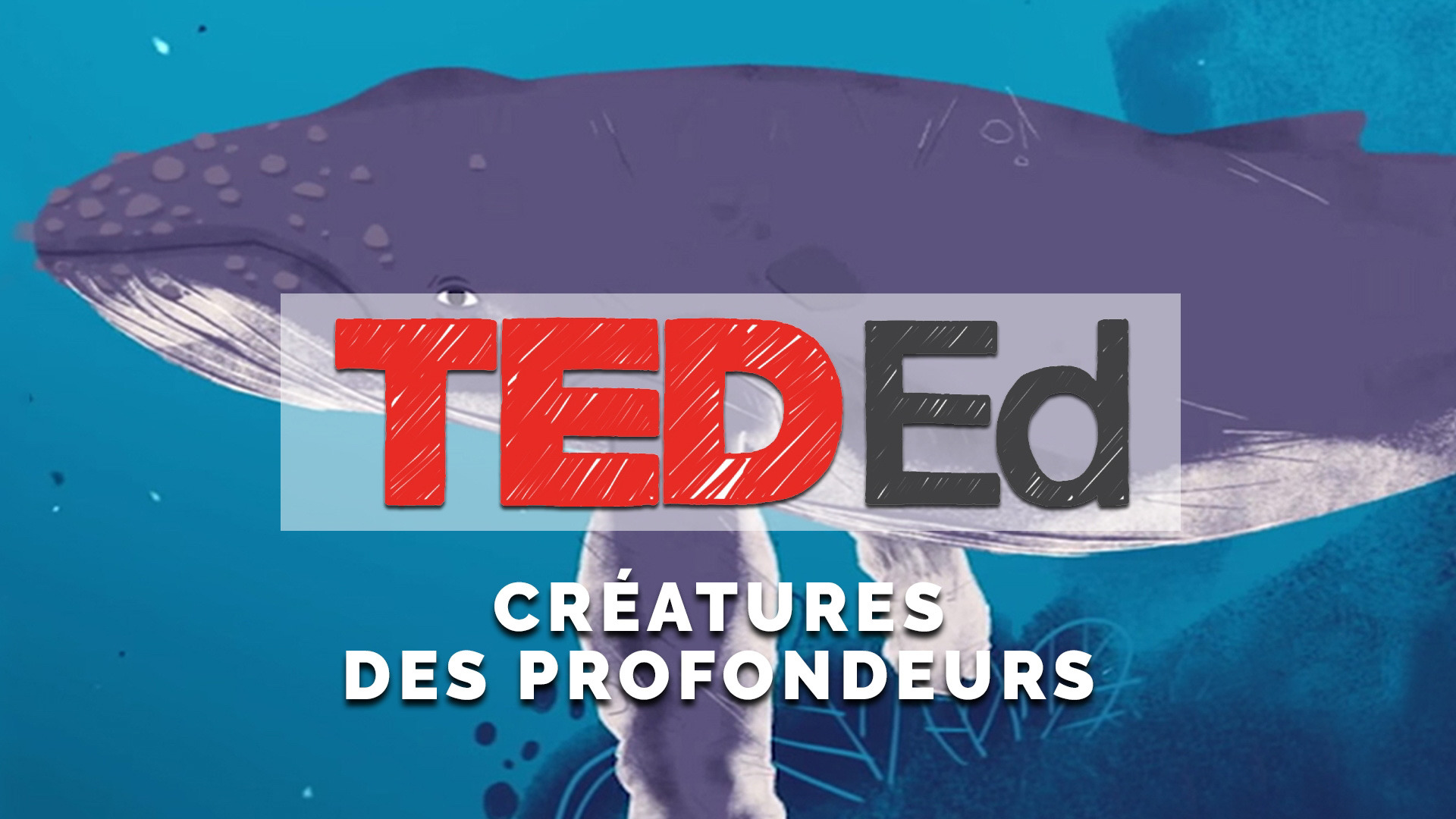 Prime Video: Ted Ed : Créatures des profondeurs - Season 1