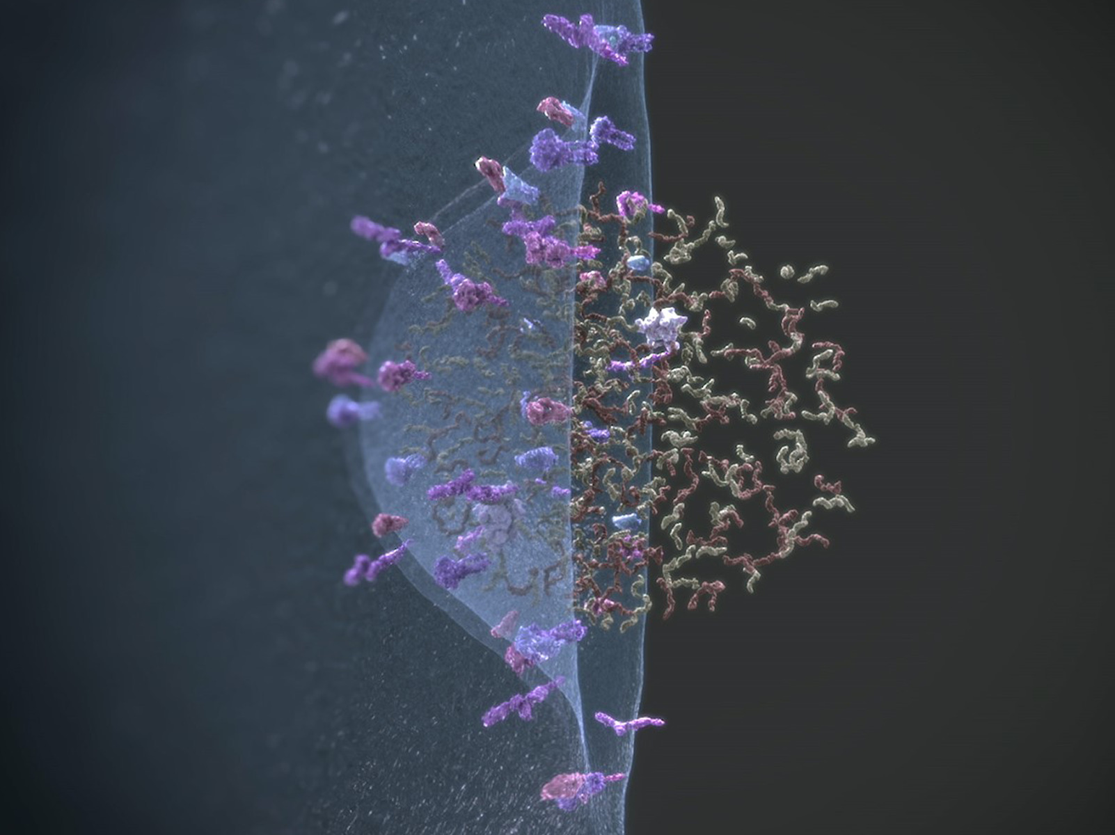 Prime Video: El Cuerpo