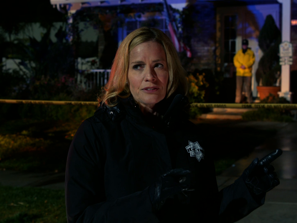Prime Video: CSI: Crime Scene Investigation - Season 14