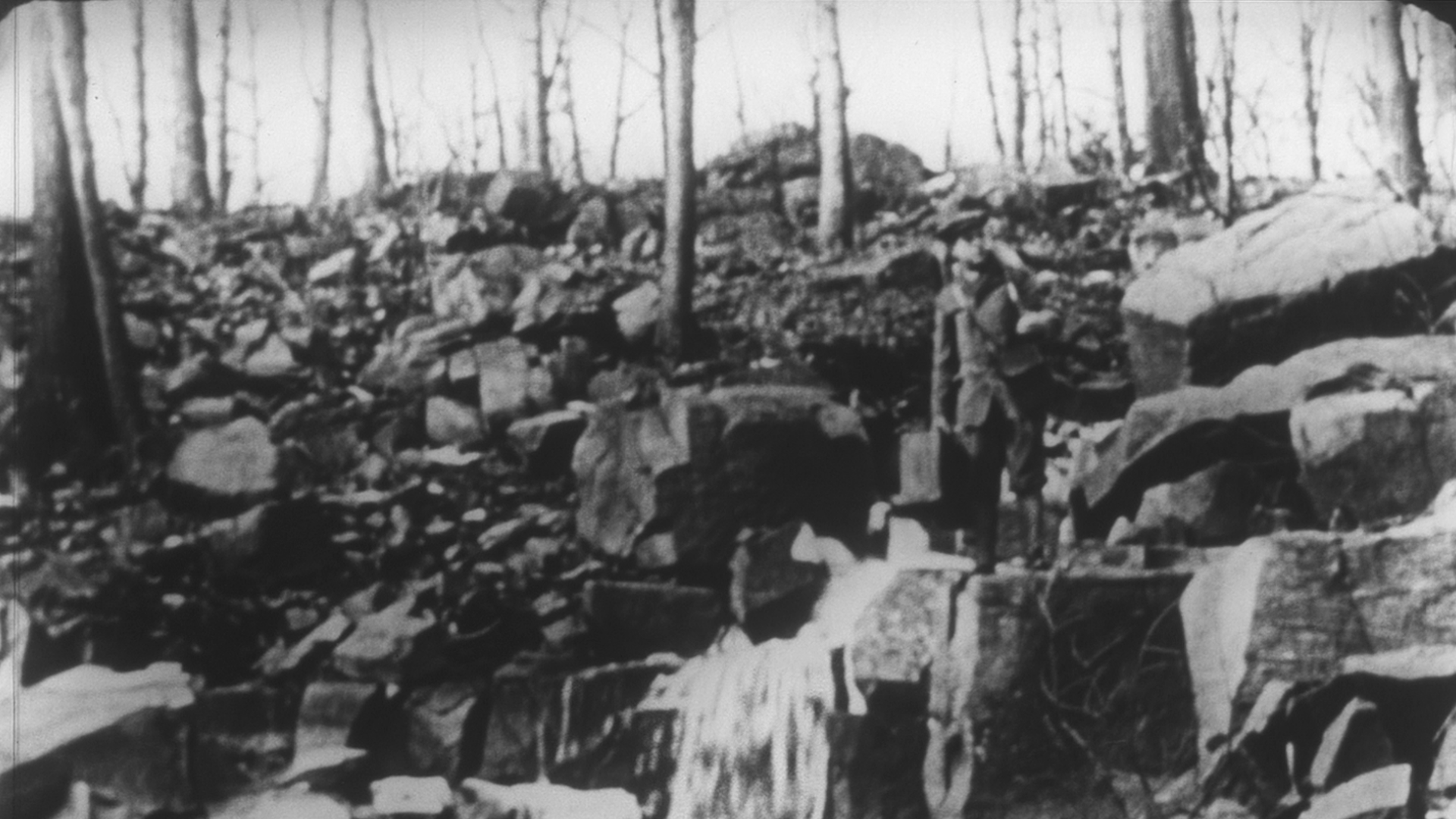 Watch Billy the Bear Tamer | Prime Video