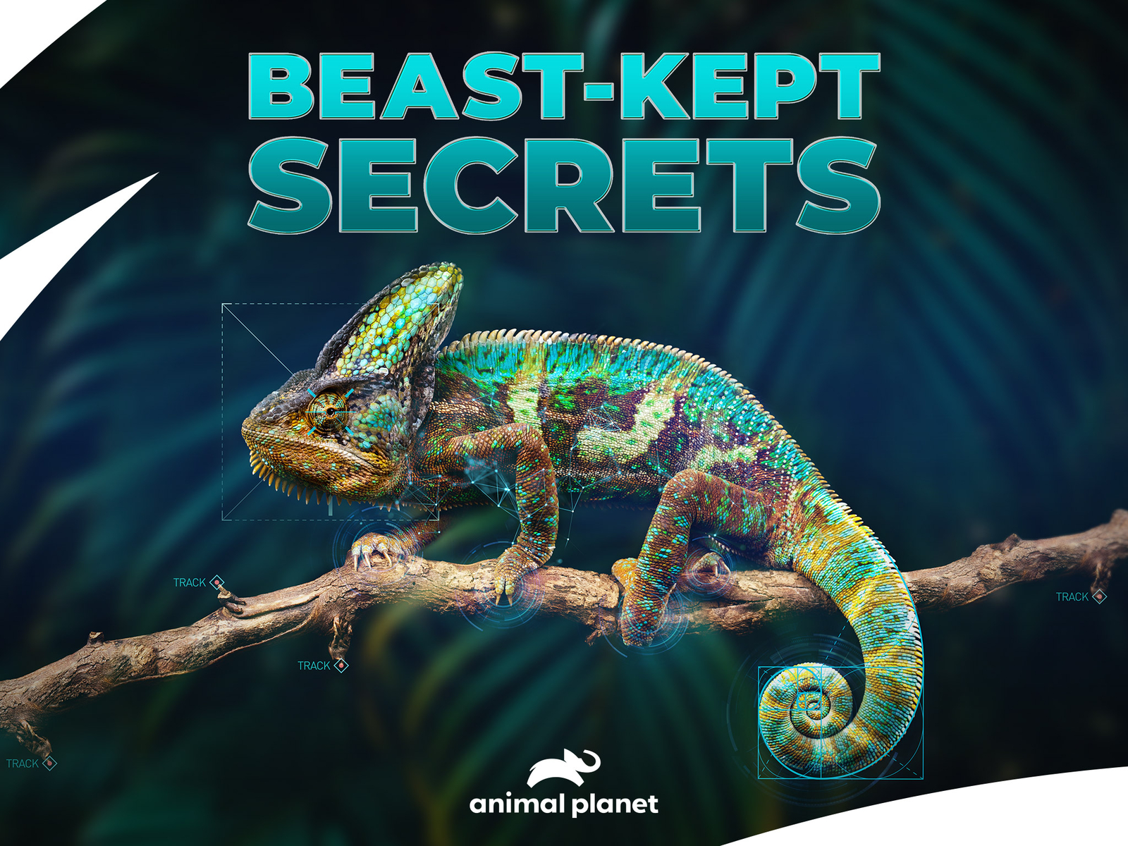 Prime Video: Beast-Kept Secrets - Season 1