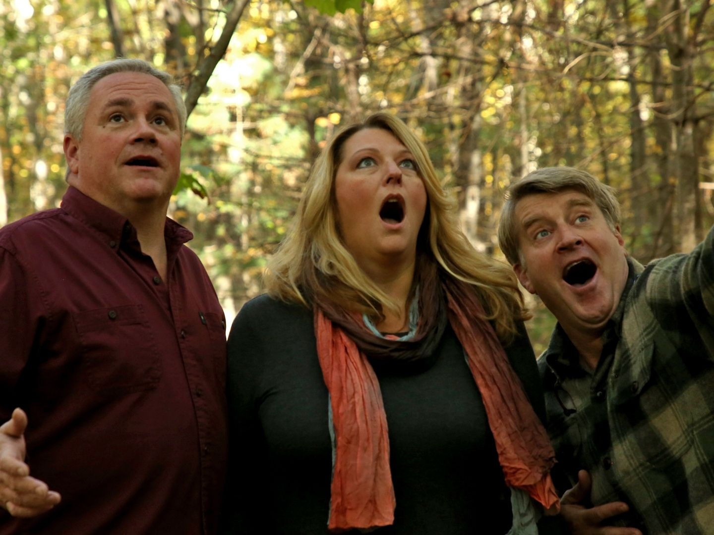 Prime Video: Treehouse Masters - Season 7