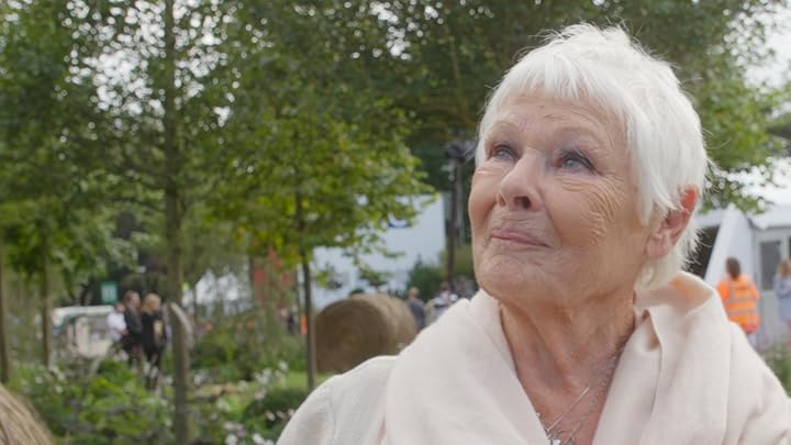 Prime Video: Quintessentially British