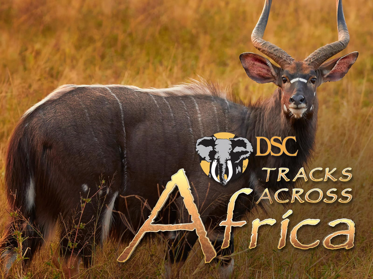 Prime Video: Tracks Across Africa - Season 11