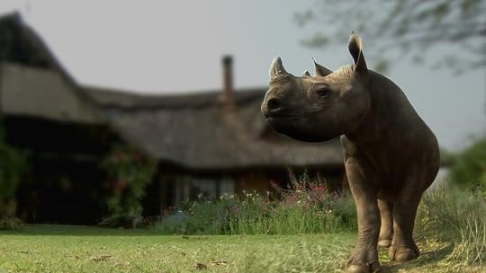Prime Video: There's A Rhino In My House! - Season 1