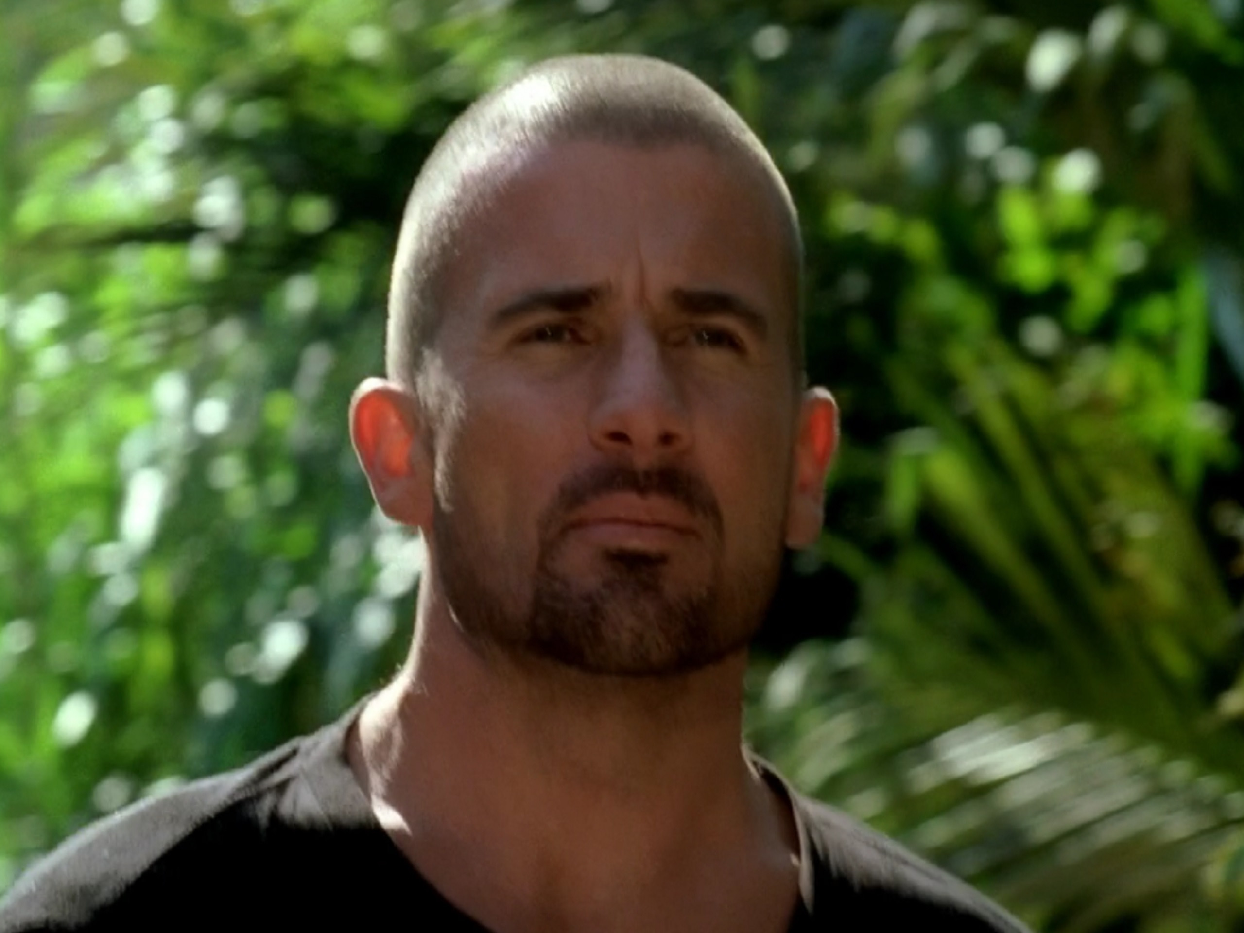 Prime Video: Prison Break - Season 2