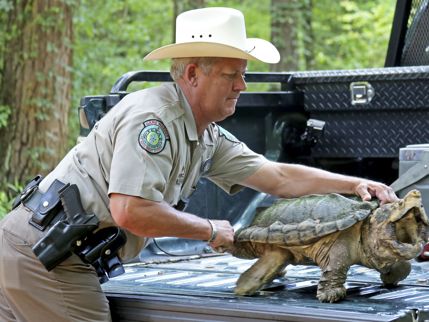 Prime Video: Lone Star Law - Season 1