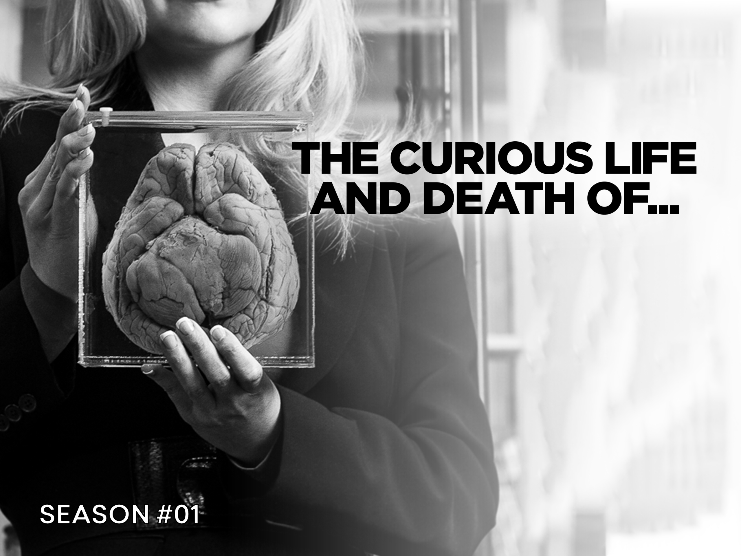 Prime Video: The Curious Life And Death Of... Season 1
