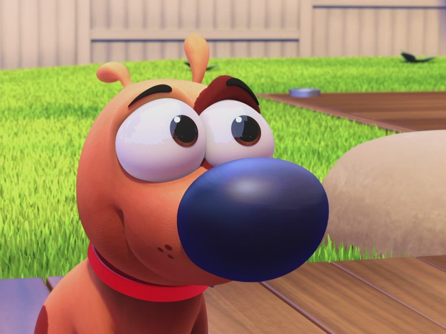 Prime Video: Pat the Dog - Season 2