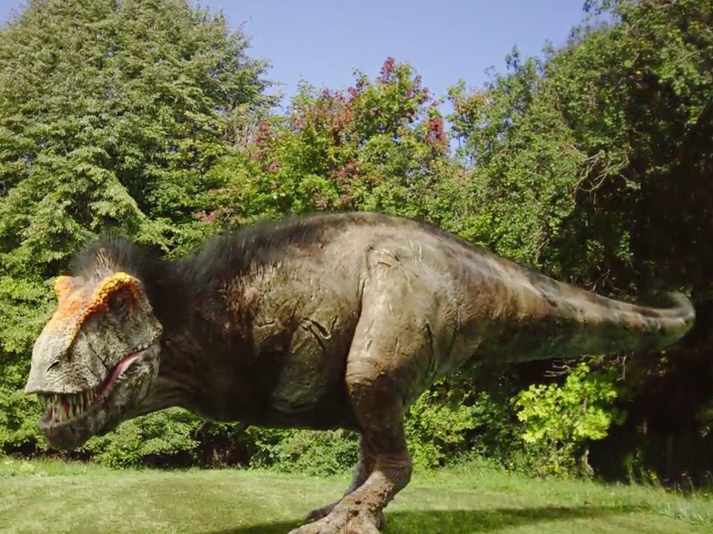 Prime Video: Rediscovering T.rex - Season 1