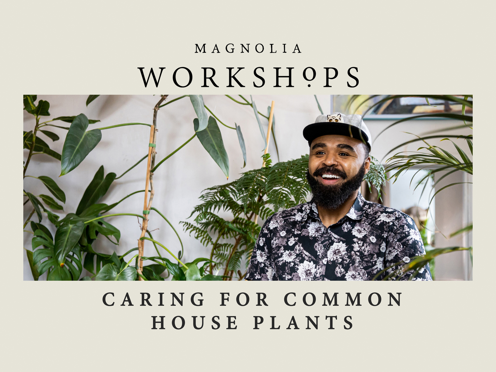 Prime Video: Magnolia Workshops: Caring for Common Houseplants - Season 1