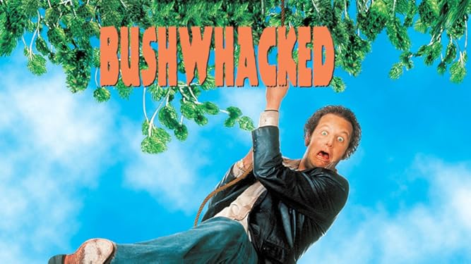 Daniel Stern Bushwhacked