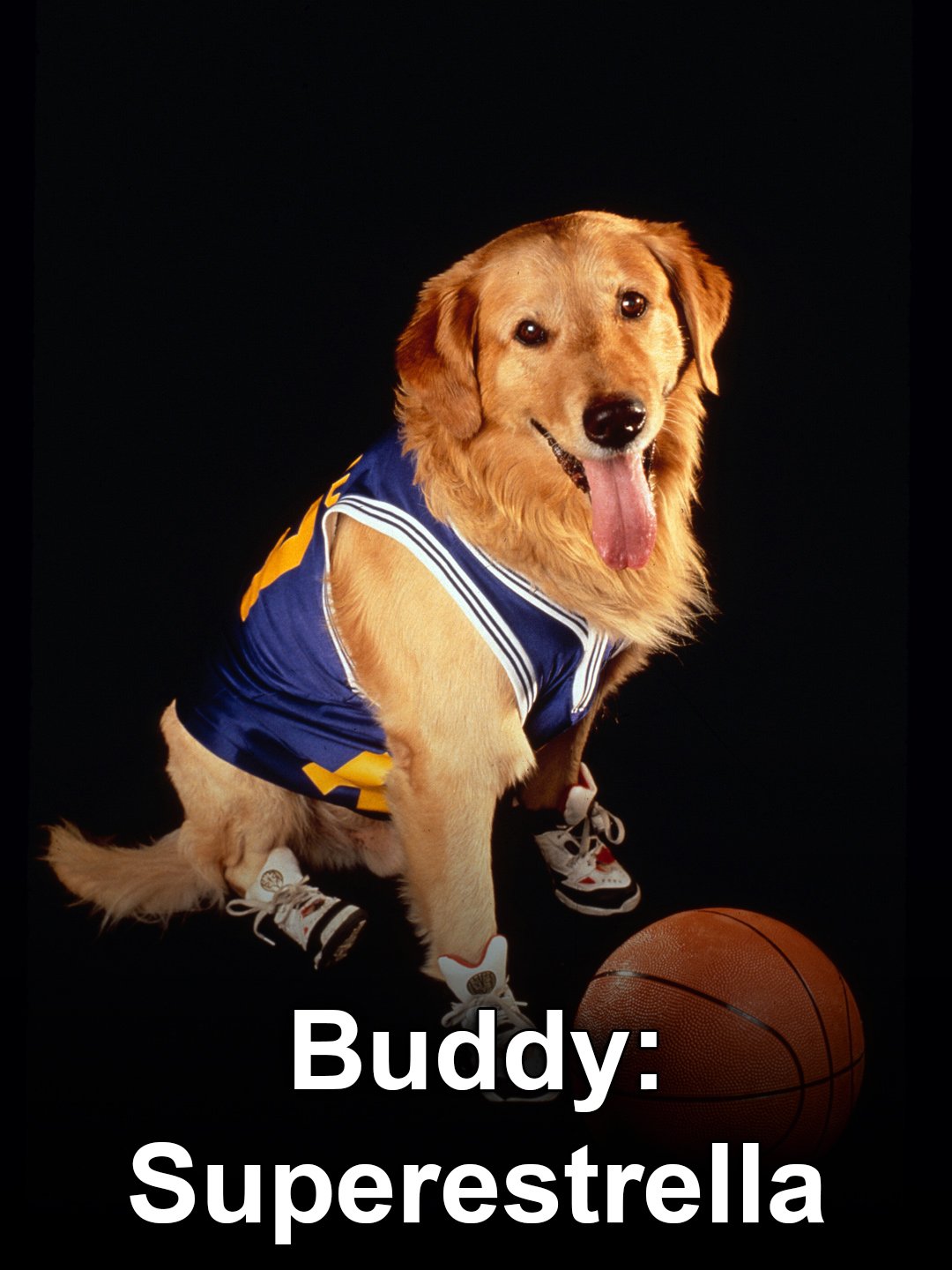 Prime Video: Buddy: Superestrella