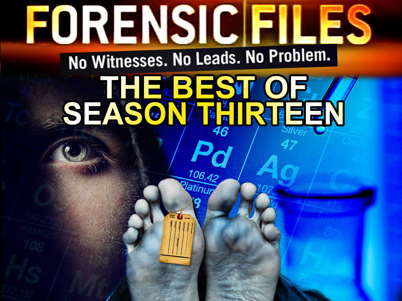 Prime Video: Forensic Files