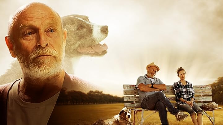 Amazon.com: Life with Dog : Corbin Bernsen, Marilu Henner, Chelsey ...