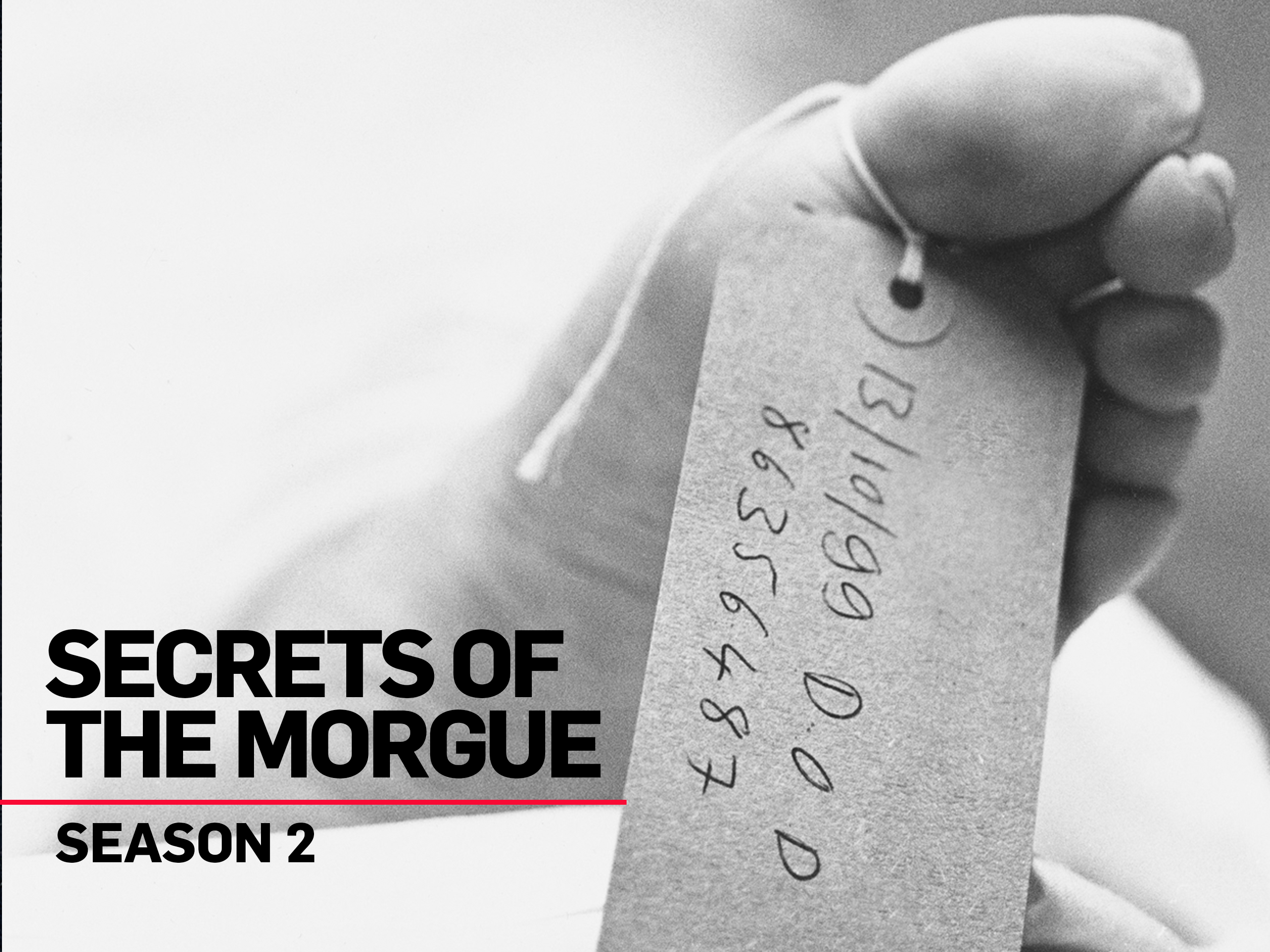 Prime Video: Secrets Of The Morgue S2