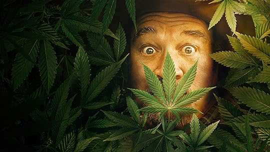 Prime Video: Growing Belushi - Season 2