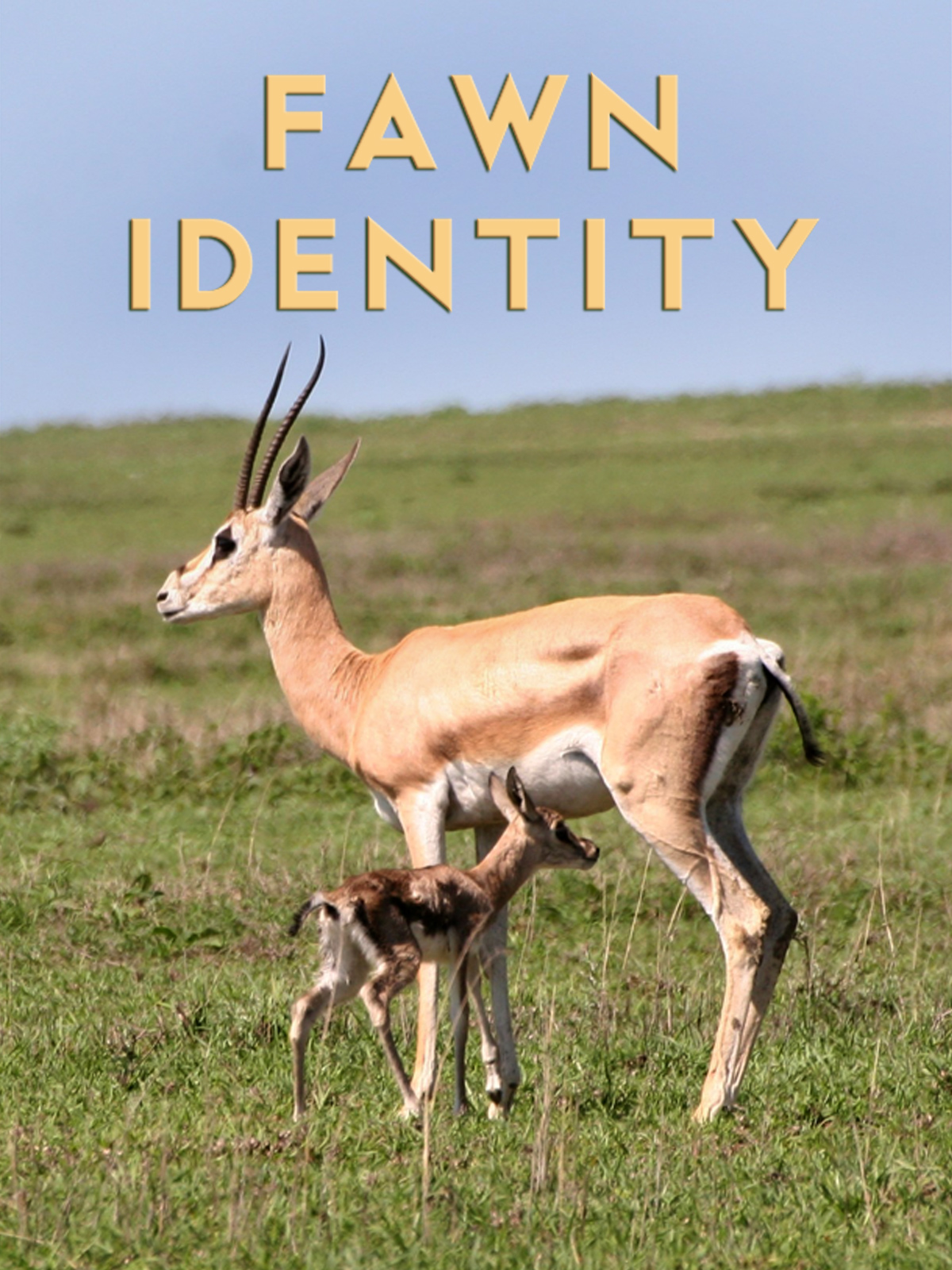 Prime Video: Fawn Identity