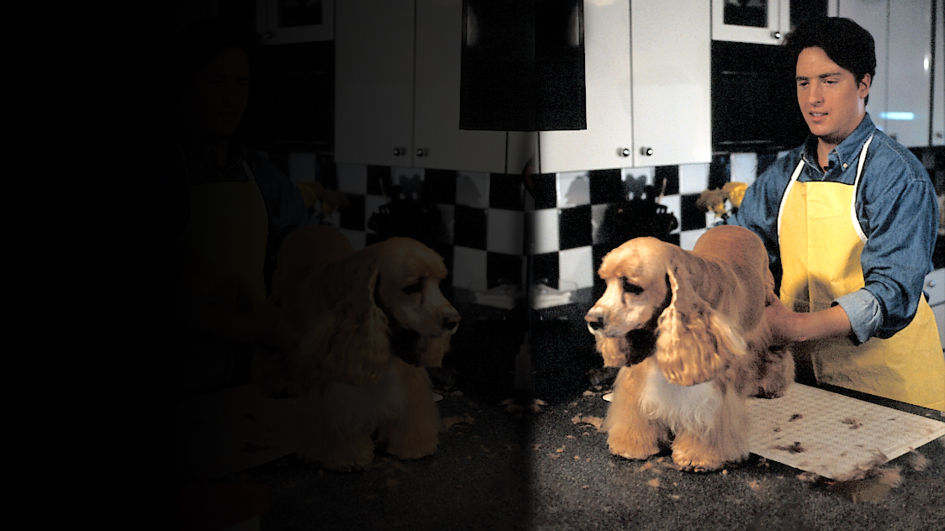 Amazon.com: Doggie Cuts : Dick Van Patten, Patrick Murdock, Dr. Cindi ...