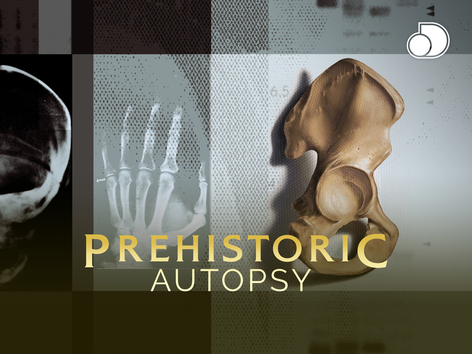 Prime Video: Prehistoric Autopsy - Season 1