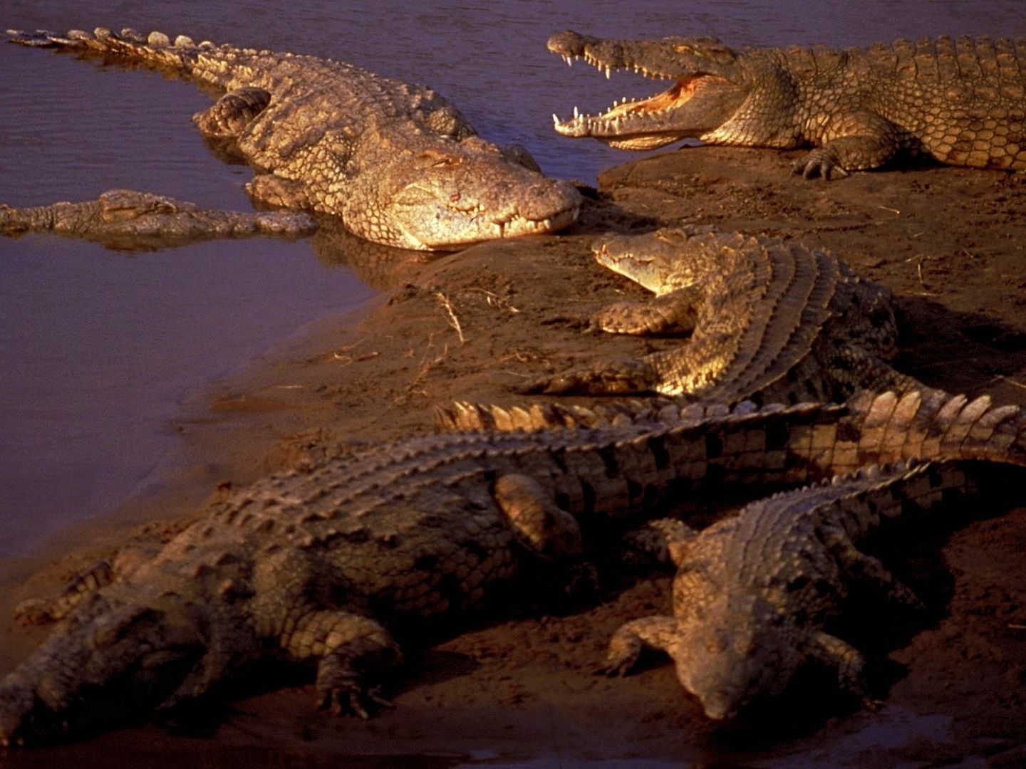 Prime Video: Why We Hate - Season 1