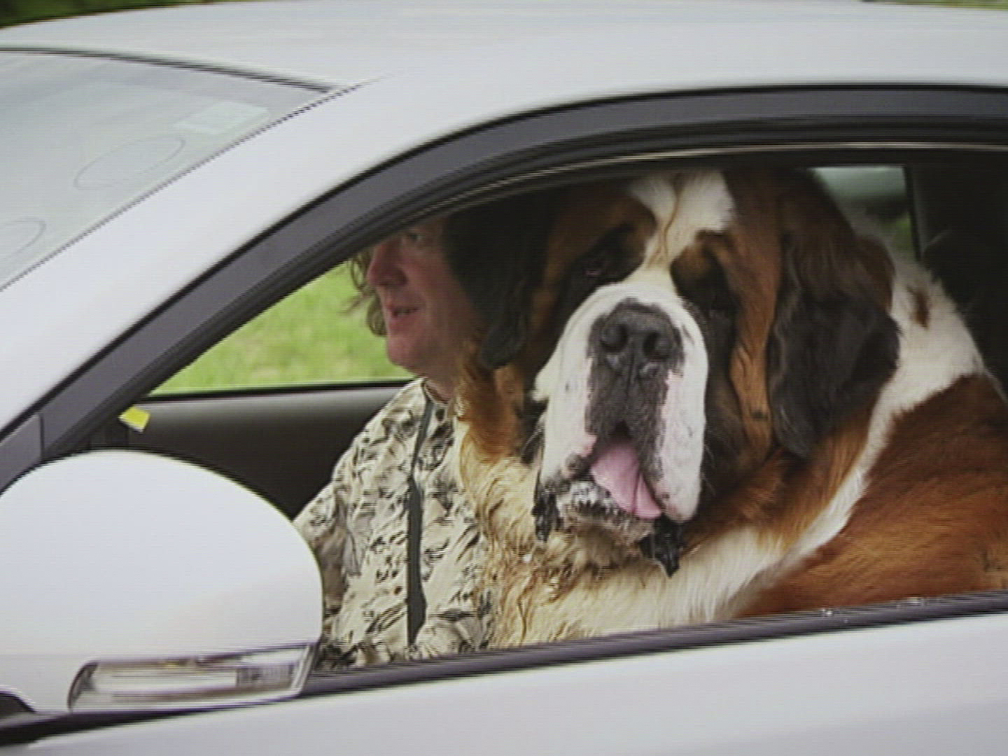 What Happened To Top Gear Dog
