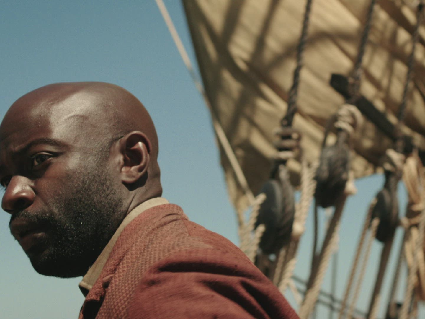 Prime Video: The Whale - Season 1