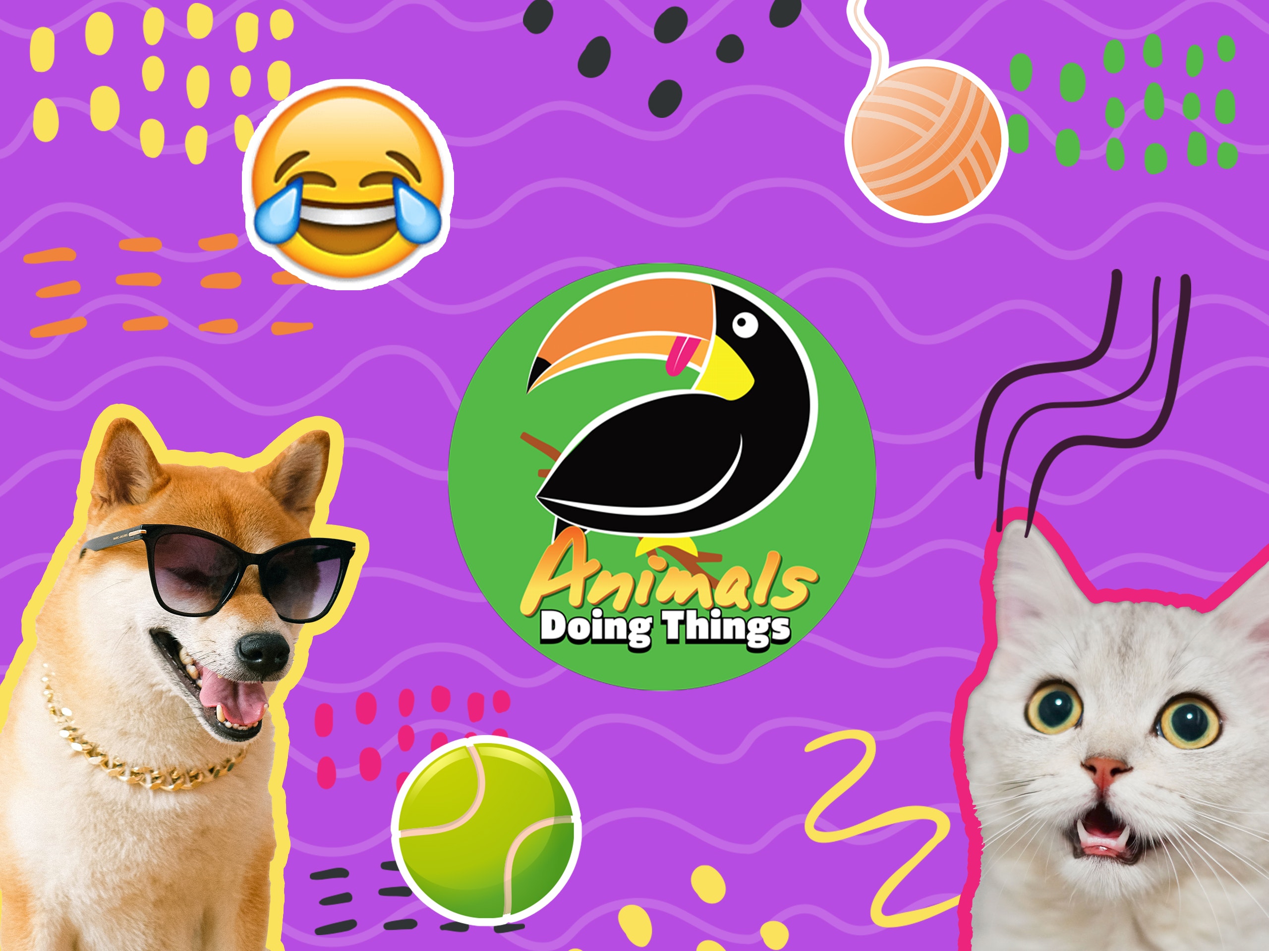 Prime Video: Animals Doing Things