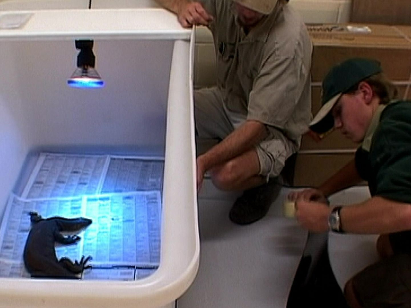 Prime Video: Crocodile Hunter Diaries - Season 2