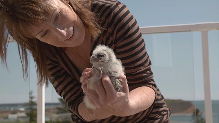 Prime Video: Season 9