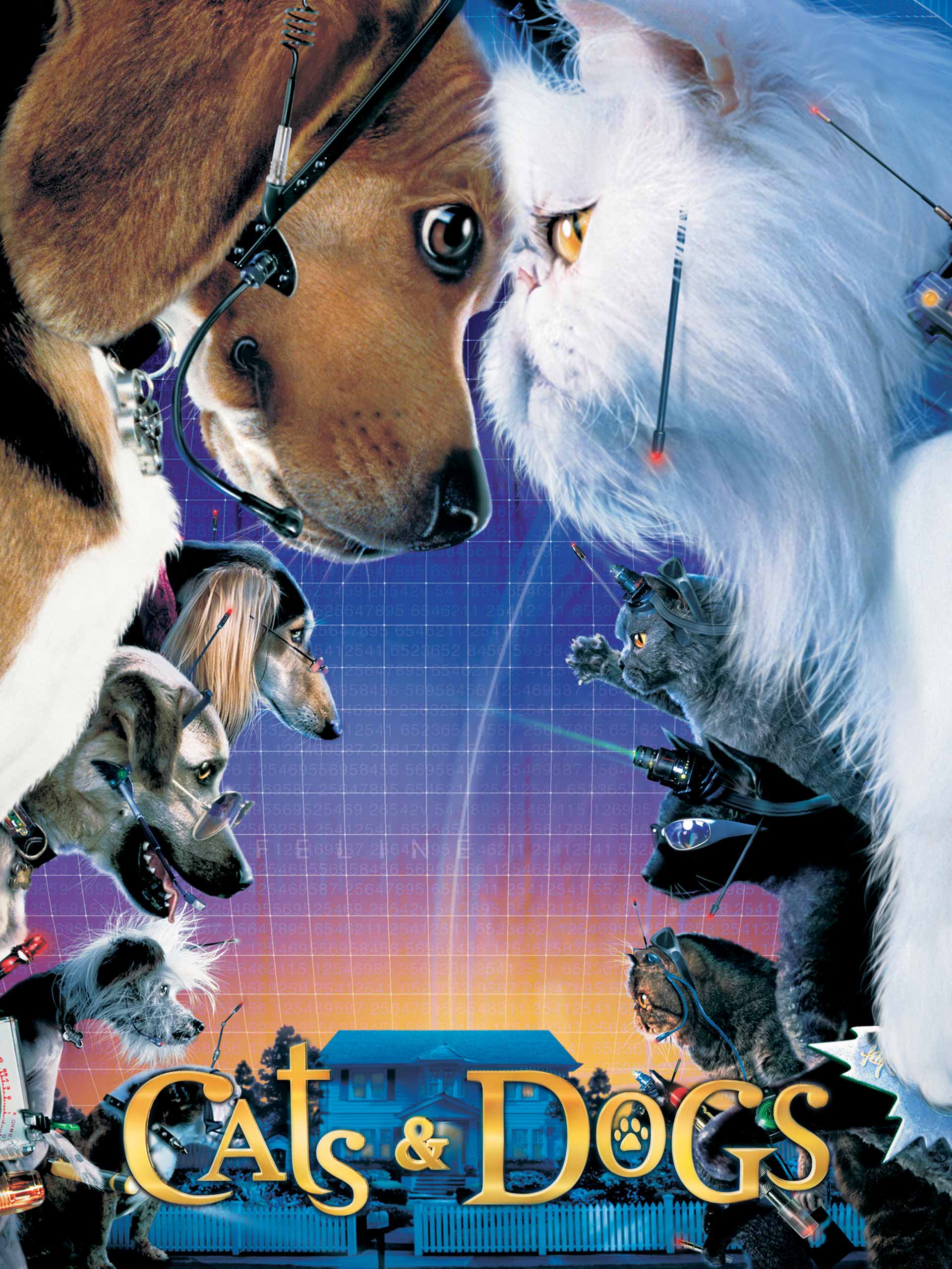 Prime Video: Cats & Dogs
