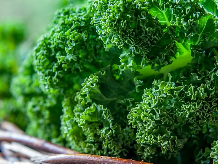 Prime Video: The Botanist's Eye: Identifying the Plants around You