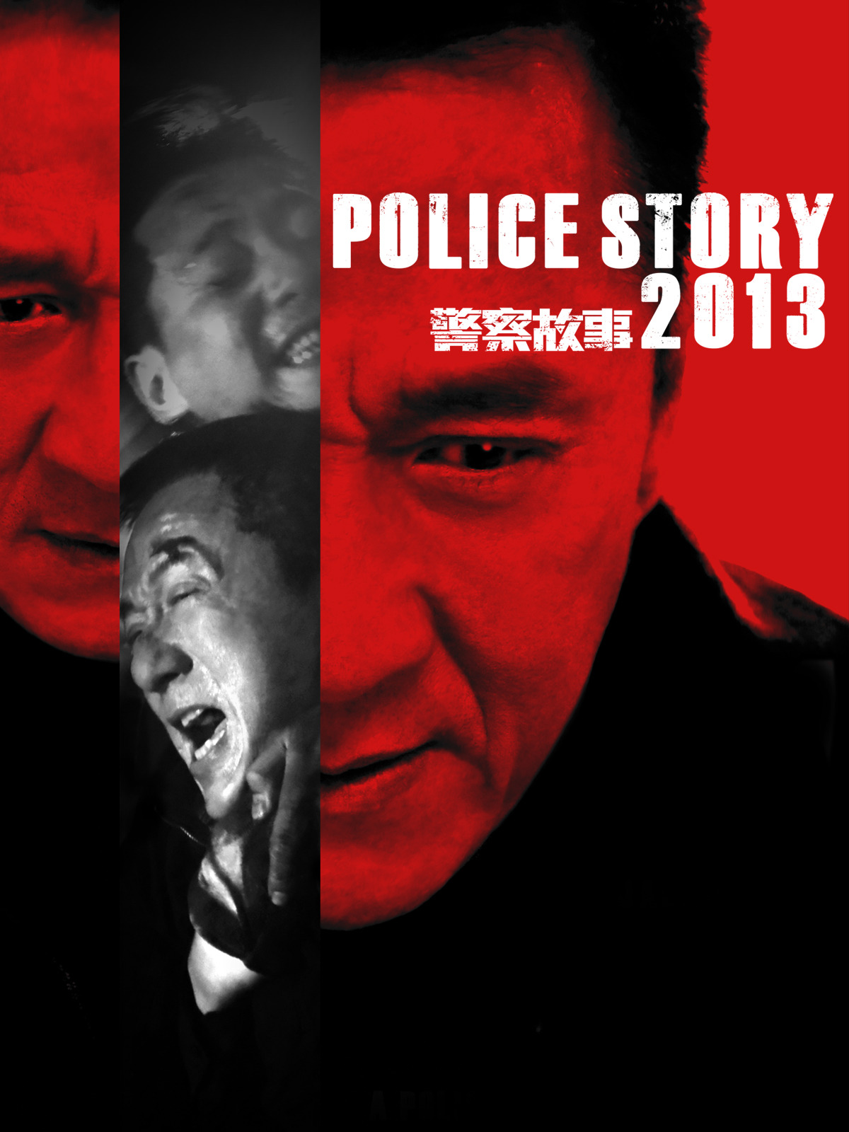 Prime Video: Police Story 2013