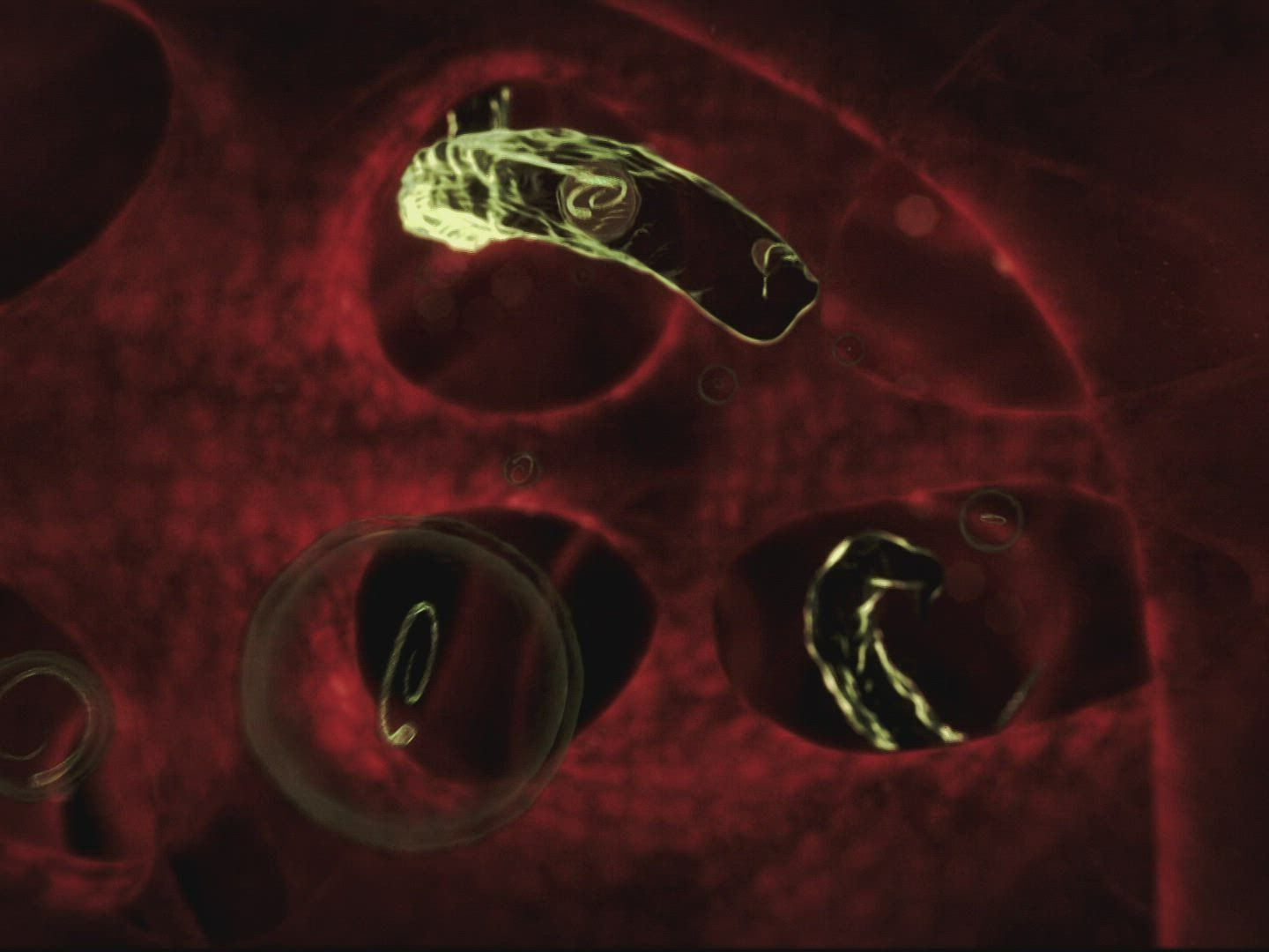 Prime Video: Monsters Inside Me - Season 1