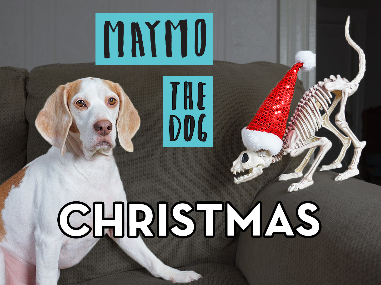 Prime Video: Maymo the Dog Christmas