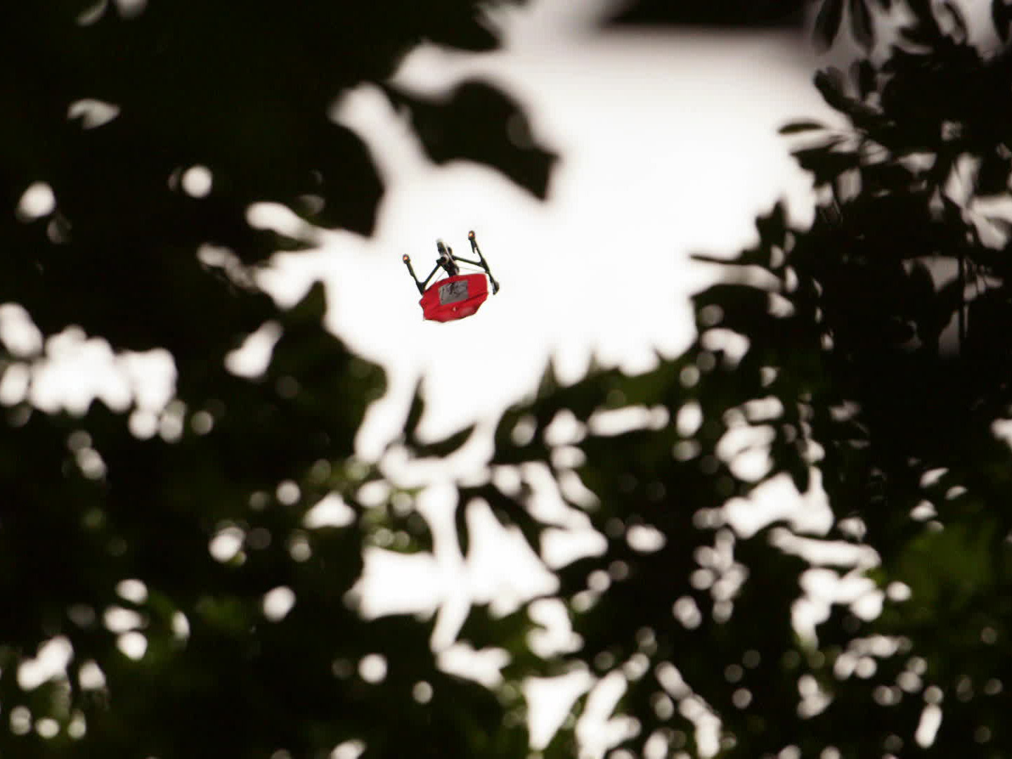 Prime Video: Treasure Quest: Snake Island - Season 1