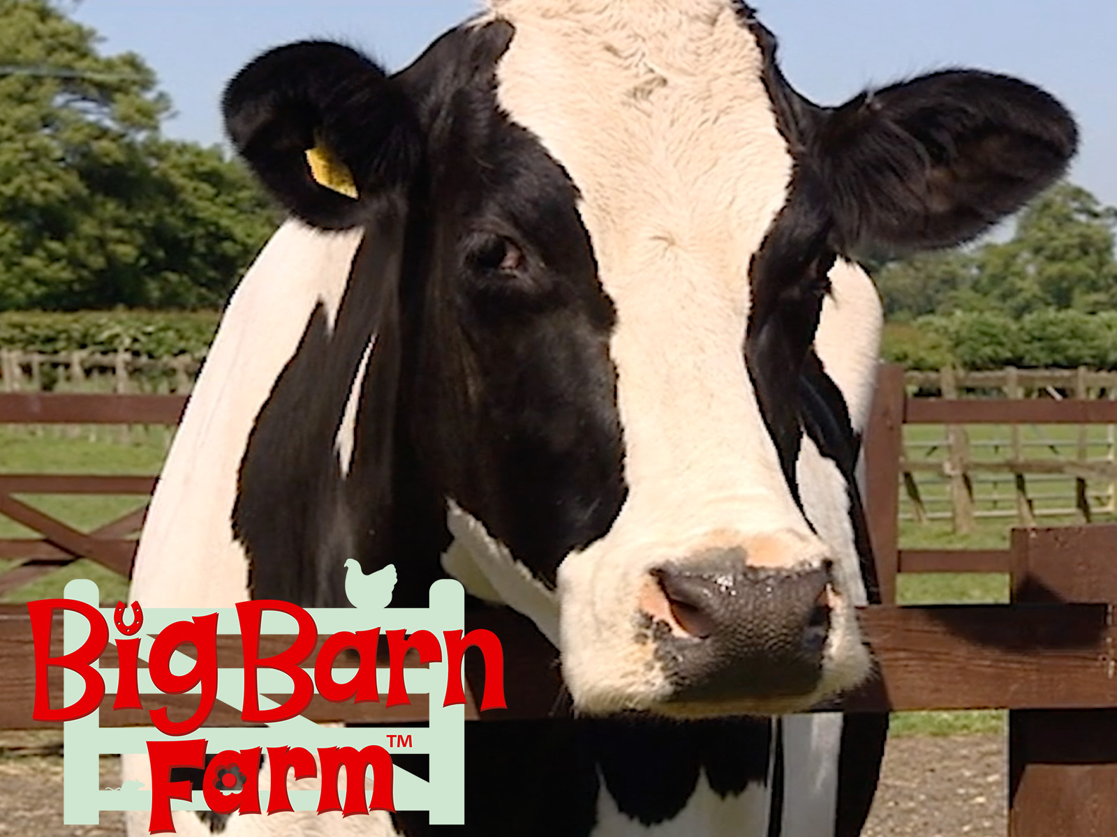 Prime Video: Big Barn Farm