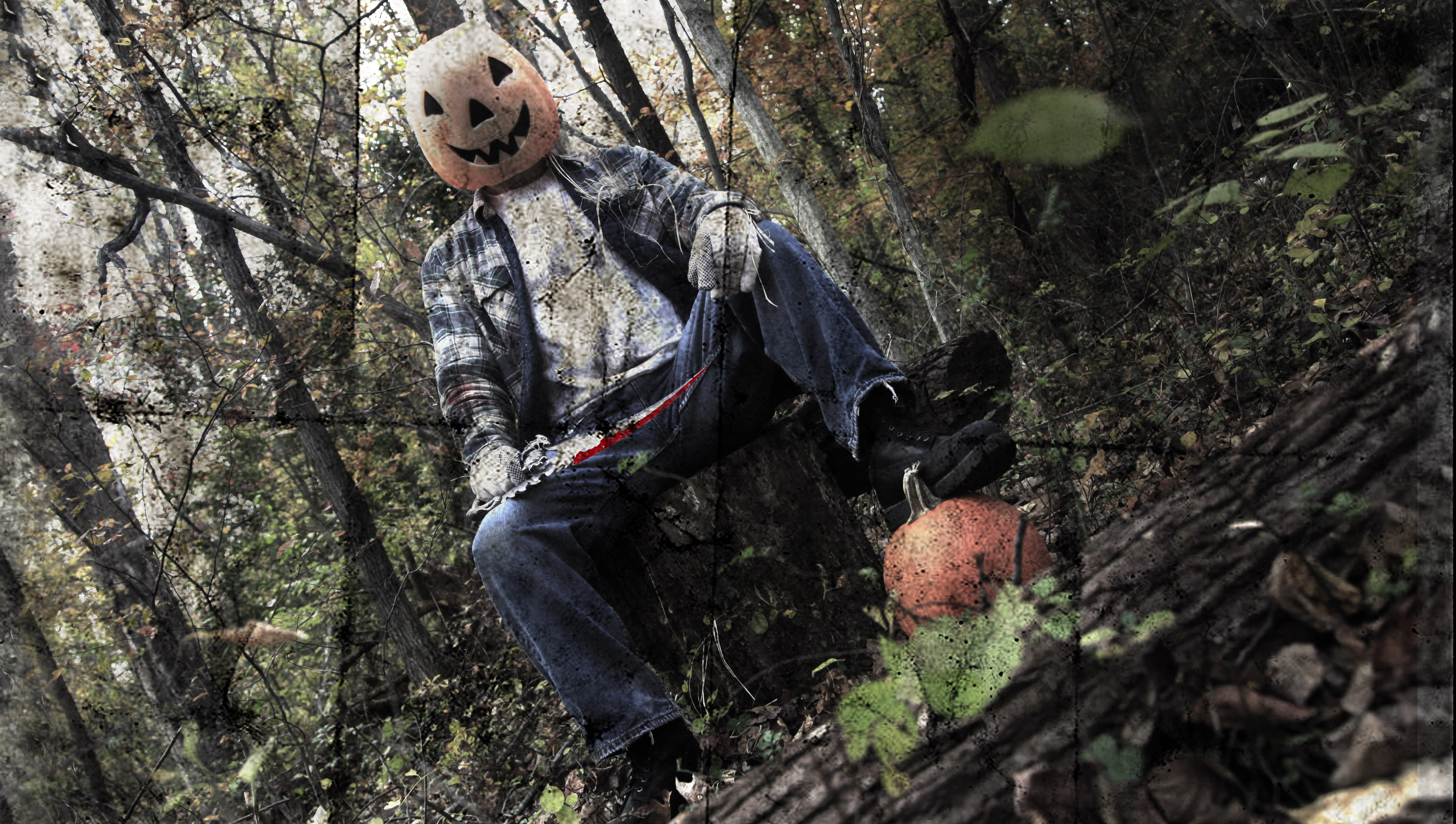 Watch Terrortory | Prime Video