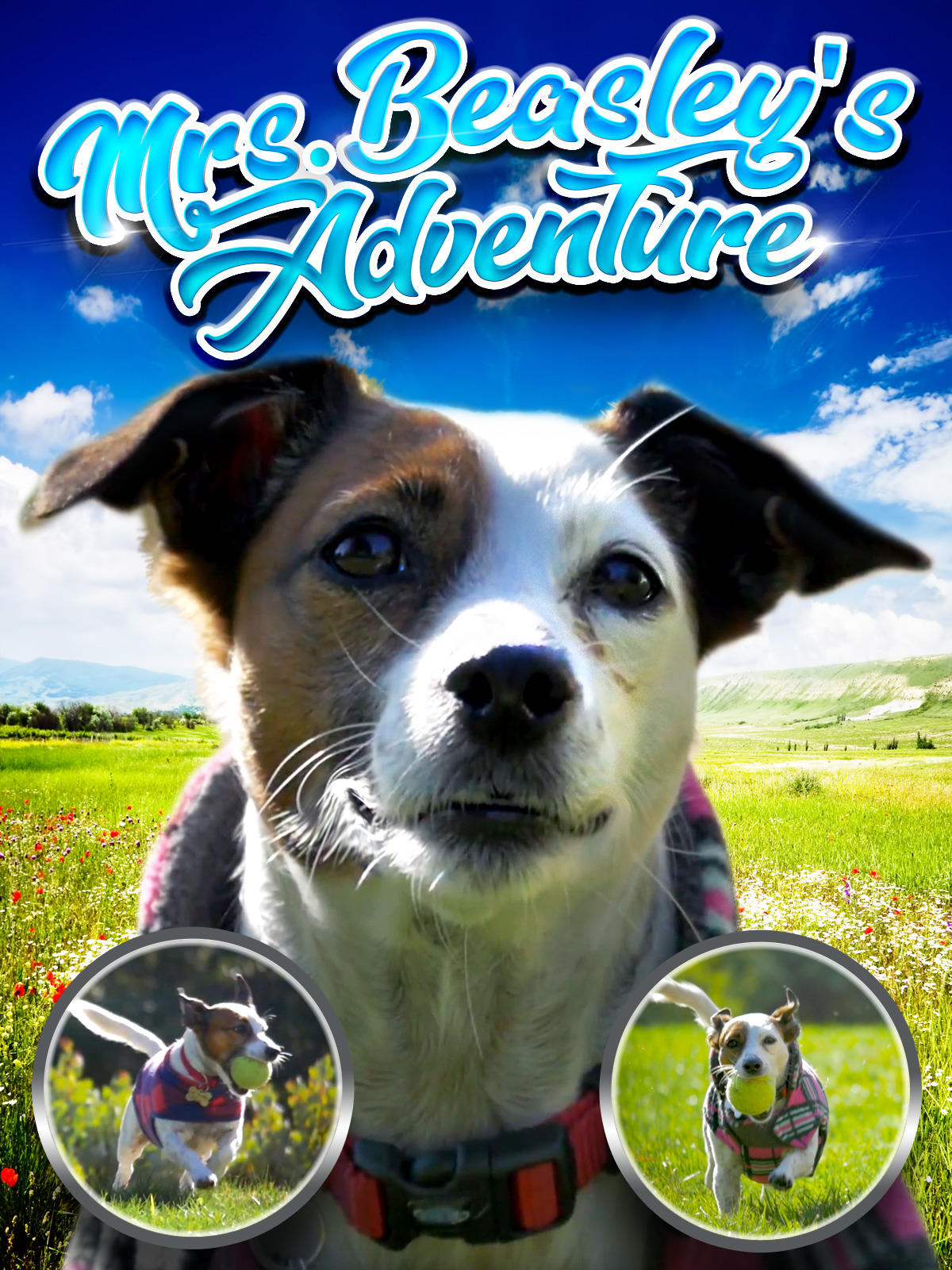 Prime Video: Mrs. Beasley's Adventure