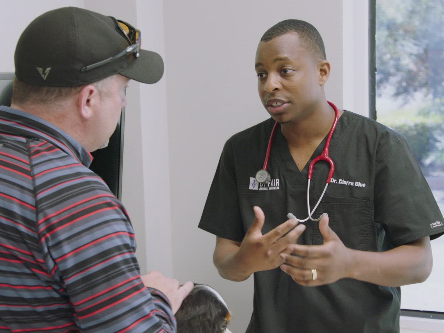 Prime Video: The Vet Life - Season 1