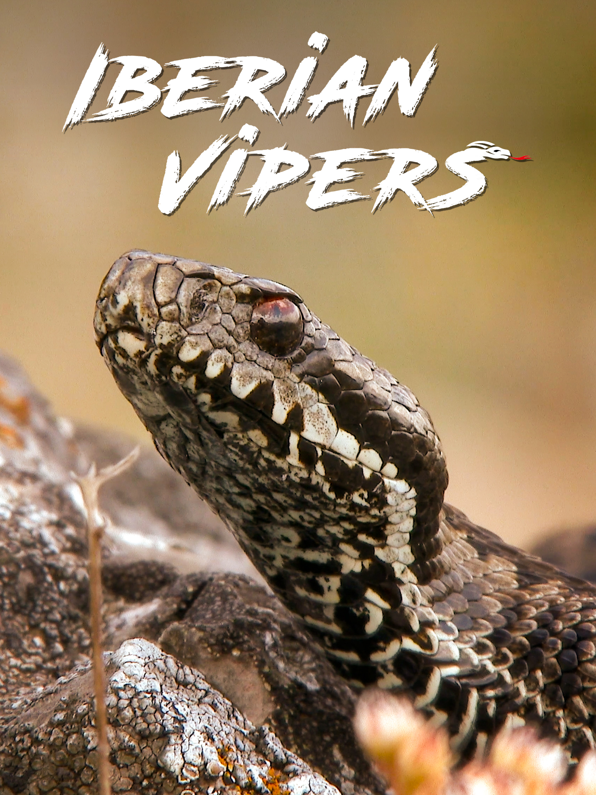 Prime Video: Iberian Vipers