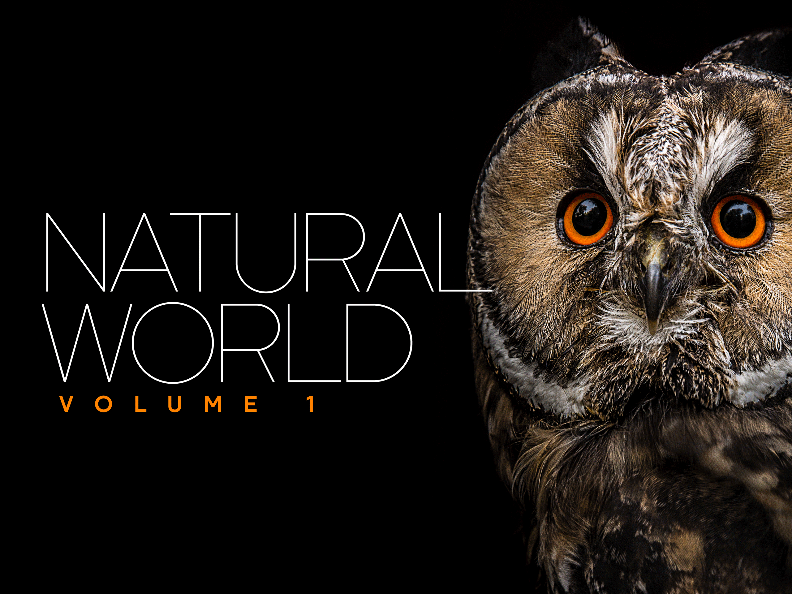 Prime Video: Natural World: Volume I