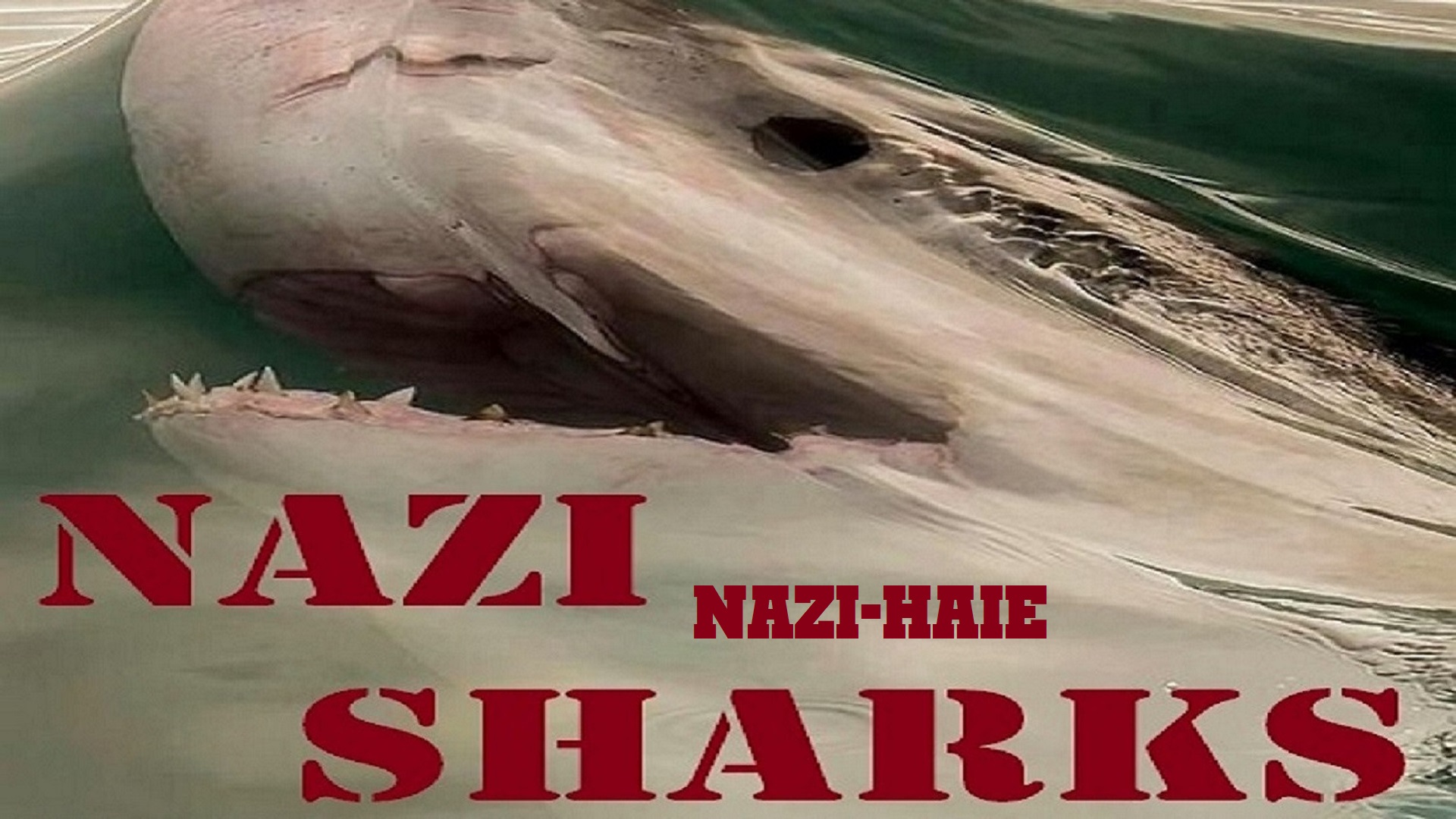 Amazon.de: Nazi Sharks Nazi-Haie [OV] ansehen | Prime Video